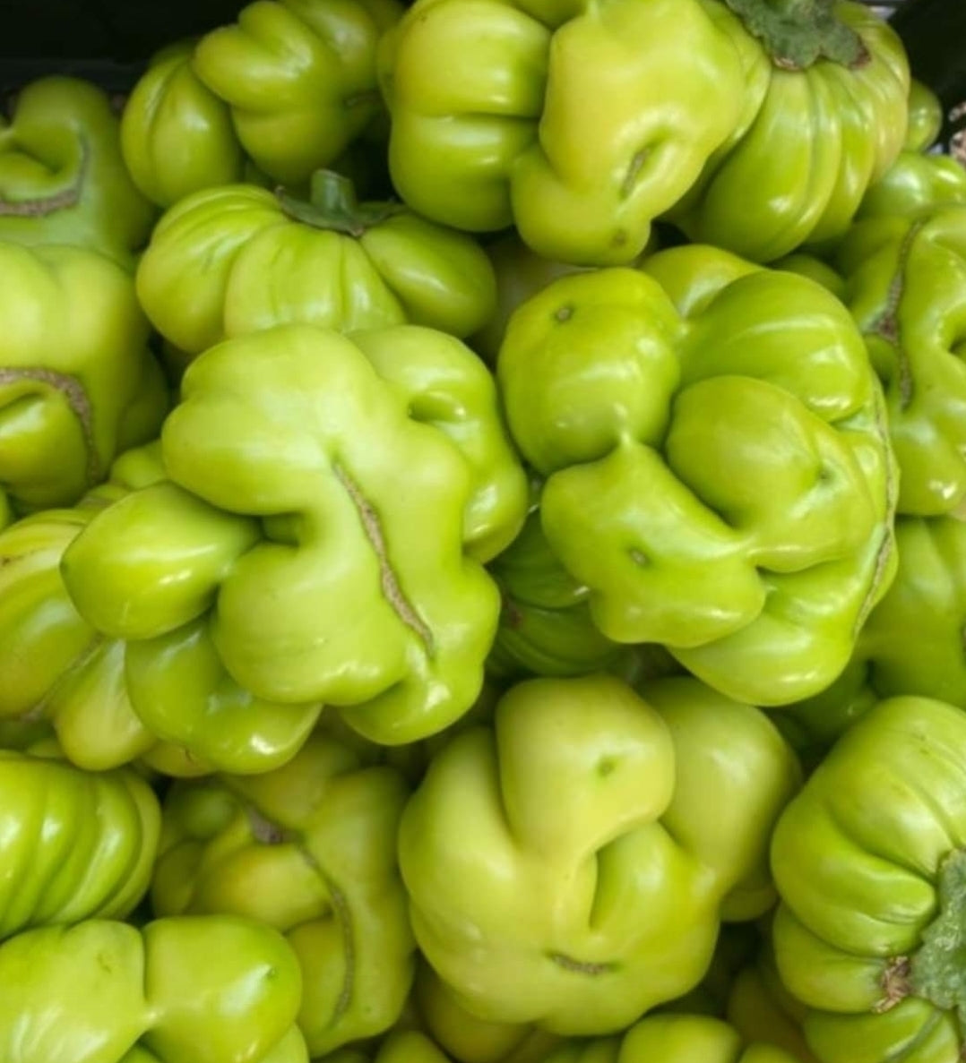 Diakhatou frais 5kg – Coumzodefar