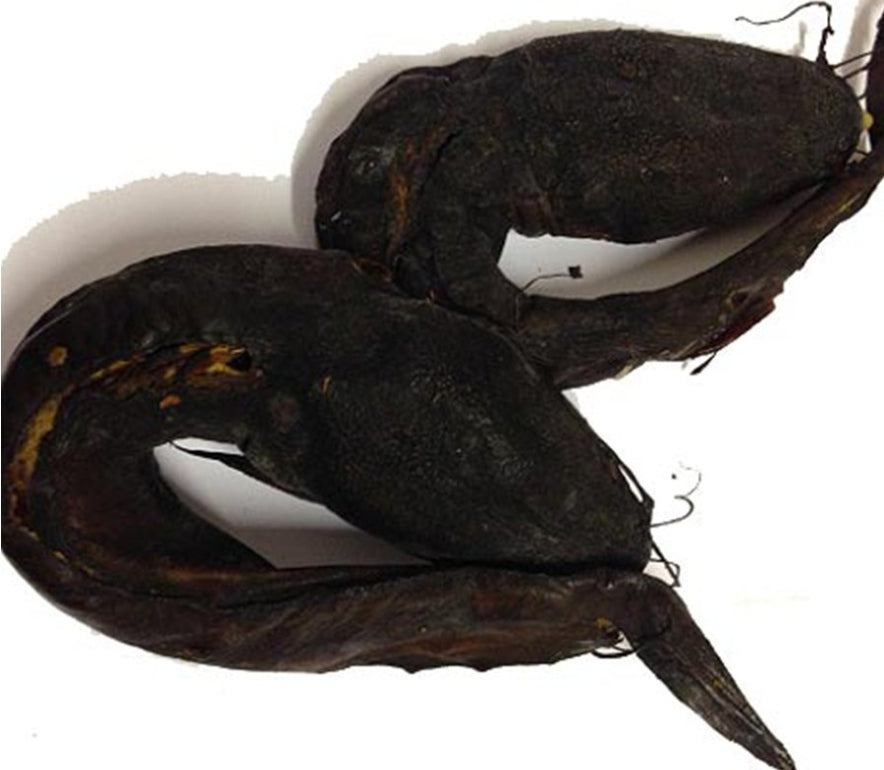 Poisson chat fumé tié croulé – Coumzodefar